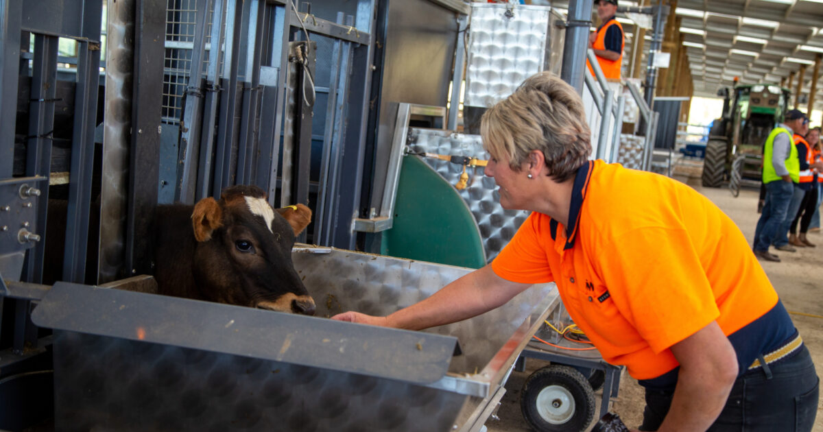 Feed efficiency and methane facility open day • Pāmu Landcorp Farming ...