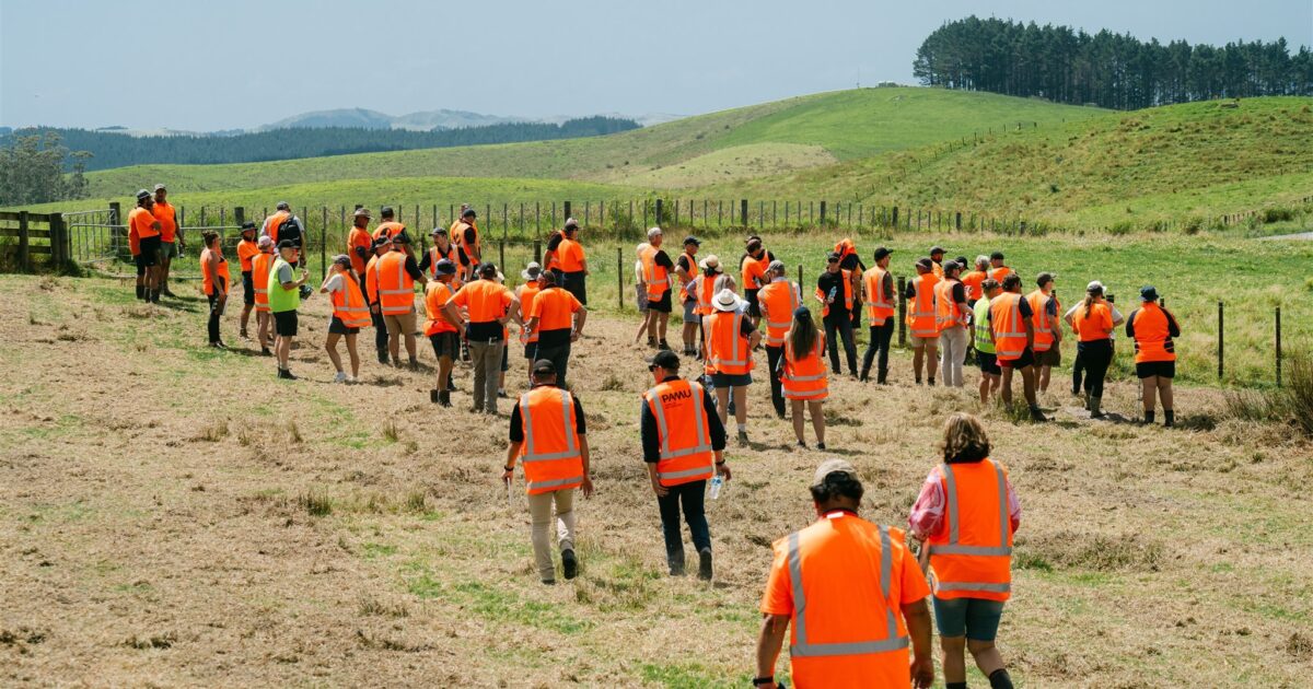 Pāmu welcomes new Associate Director • Pāmu Landcorp Farming Limited