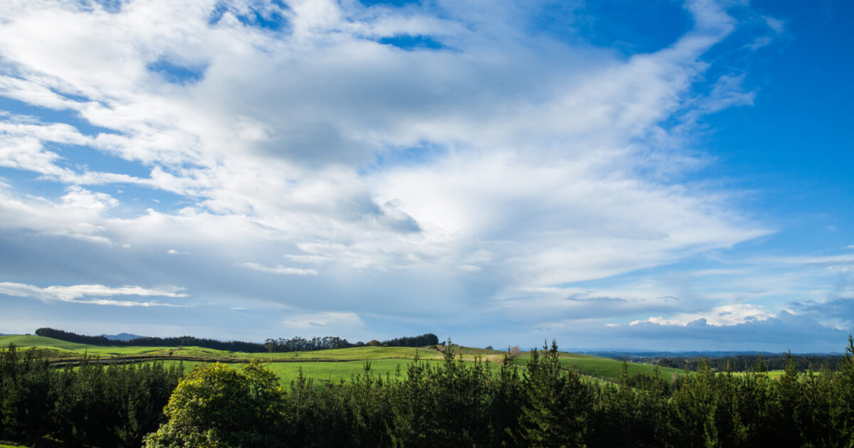 Farm, Forestry, and Fruits: our next Open Farm Day • Pāmu Landcorp ...