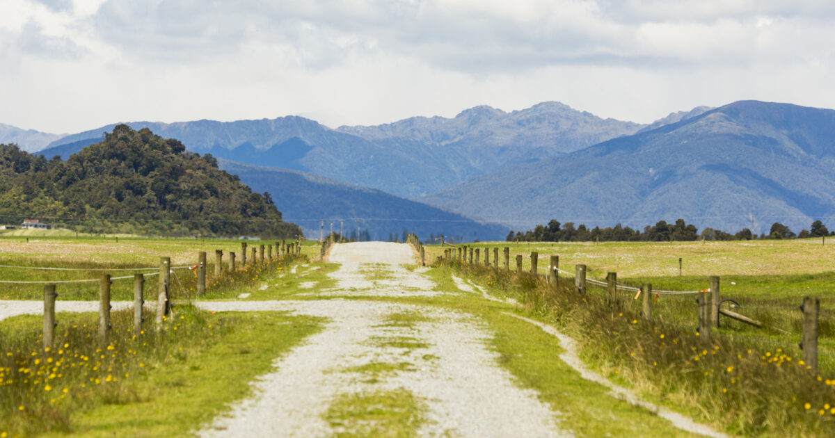 Pamu New Zealand • Pāmu Increases Forecast Earnings Amid Strong Dairy and Livestock Performance