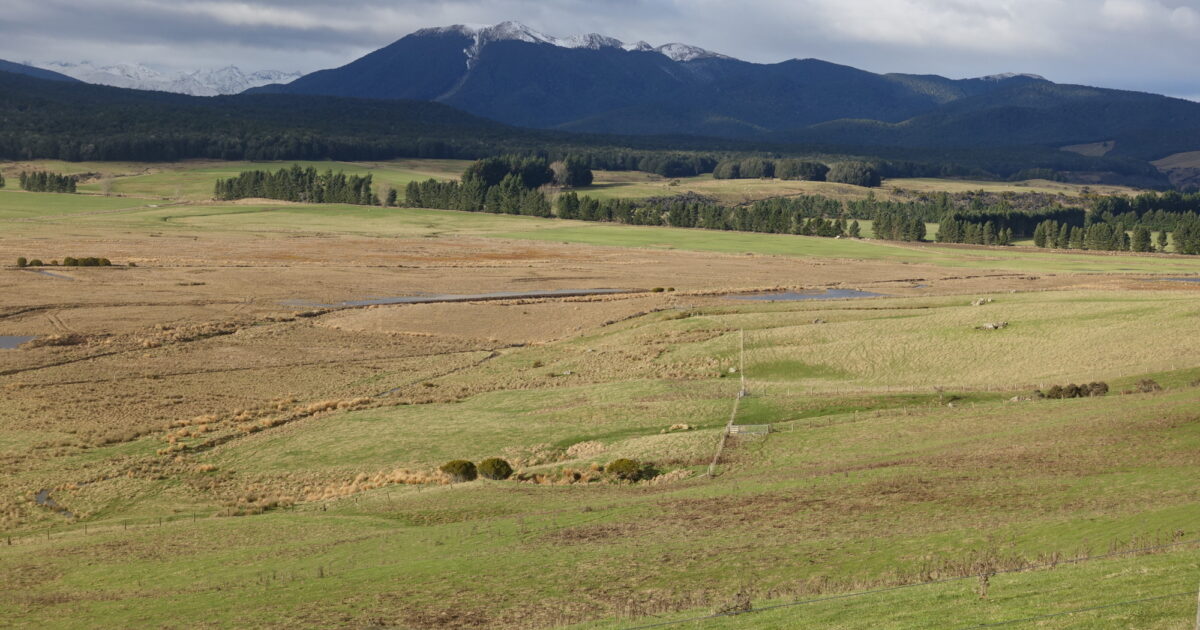 A milestone for biodiversity – Pāmu celebrates 10,000 hectares ...