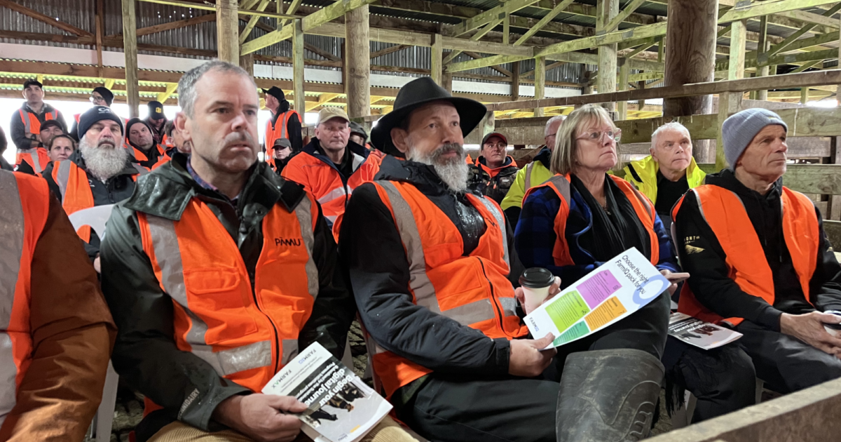 Open Farm Day at Rangitāiki Station: Sharing Our Safe and Profitable ...