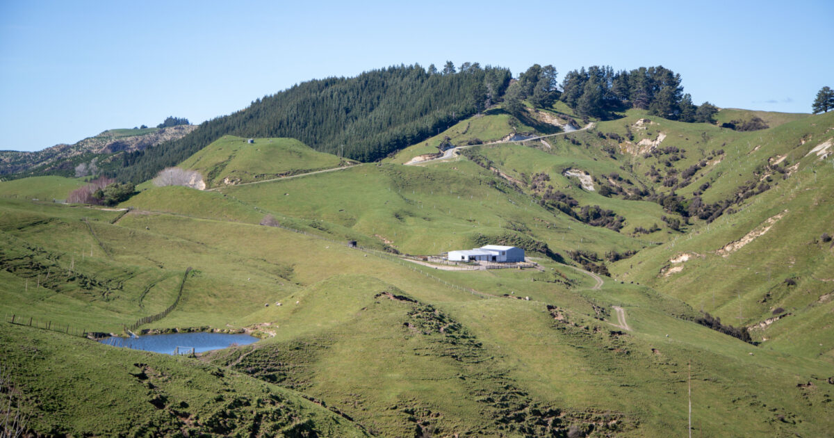 Pāmu Landcorp Farming Limited • Mahiwi Farm Equity Partnership ...