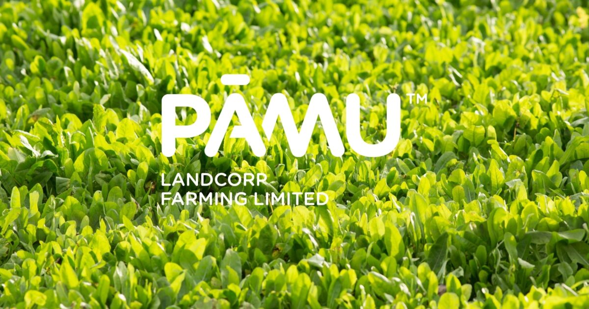 Pāmu or Landcorp • Pāmu Landcorp Farming Limited