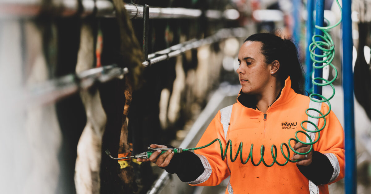 Pāmu Releases 2025 Integrated Annual Report • Pāmu Landcorp Farming Limited