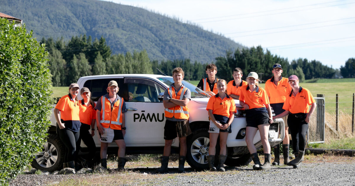 Ten new apprentices join Pāmu following successful pilot year • Pāmu ...