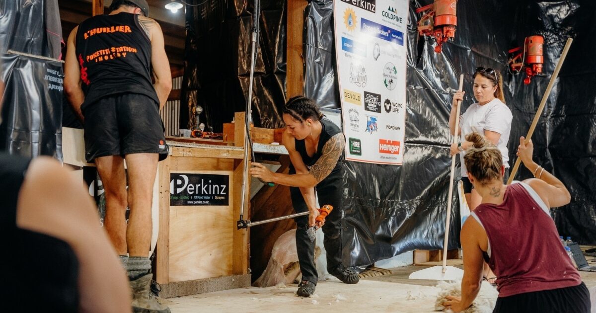 Pāmu to host Sacha Bond’s double world record shearing attempt • Pamu ...