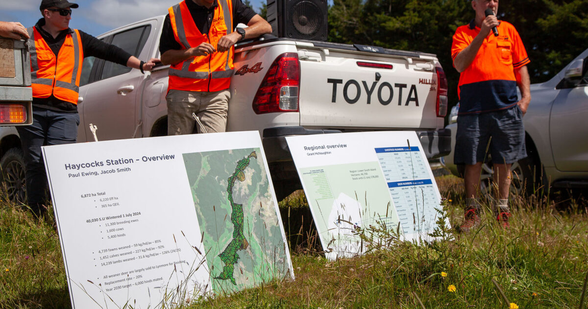 Deer in Te Anau Open Day • Pāmu Landcorp Farming Limited