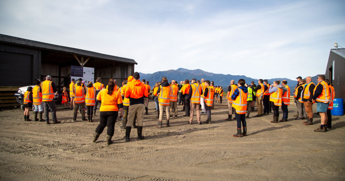 Pāmu announces Open Farm Days for FY 2025/2026 • Pāmu Landcorp Farming ...