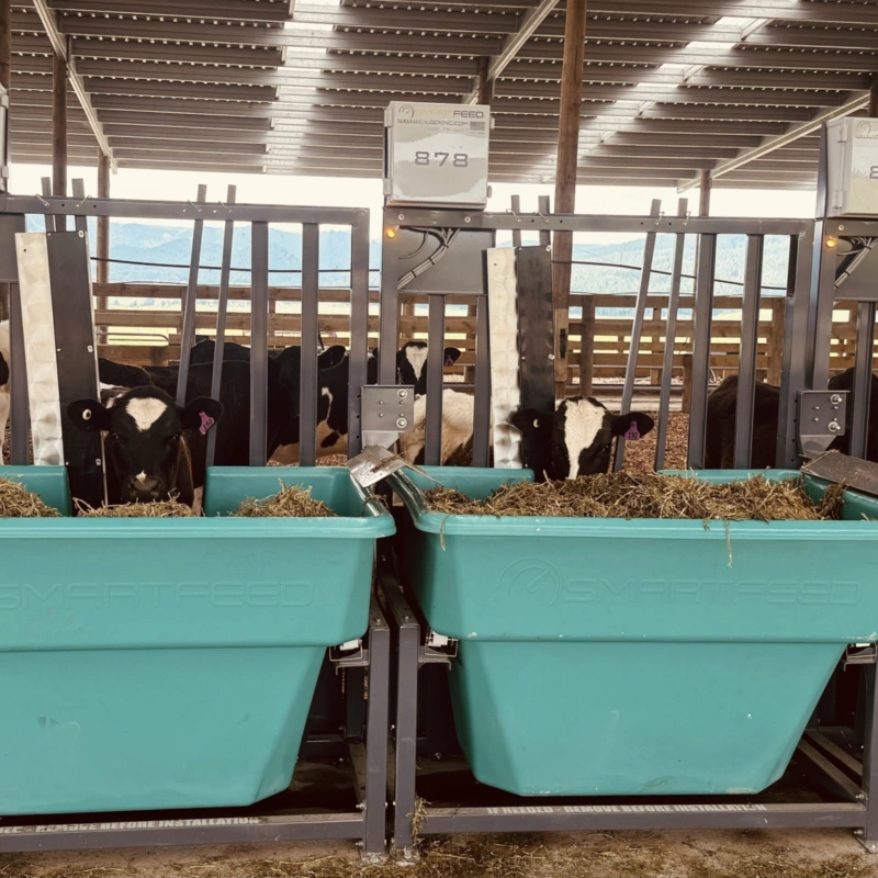 New Zealand Methane Research Facility at Pāmu: Advancing Agricultural ...