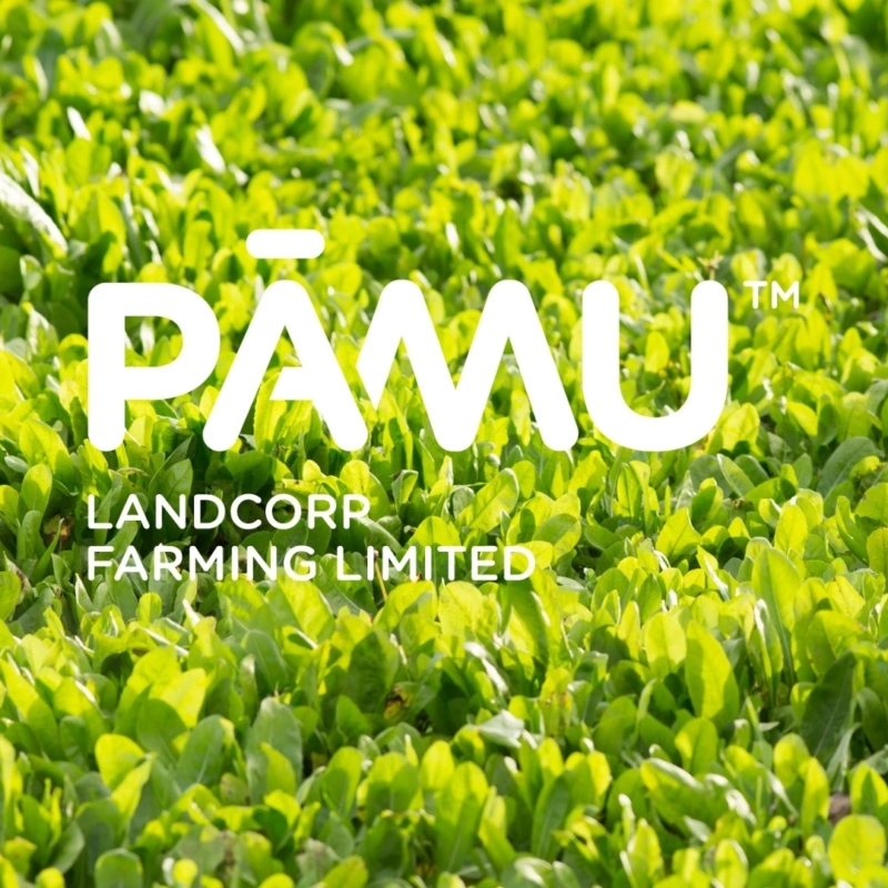 Pāmu or Landcorp • Pāmu Landcorp Farming Limited
