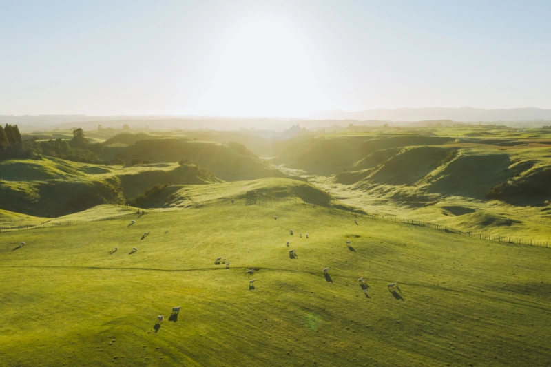 Our Farms • Pāmu Landcorp Farming Limited