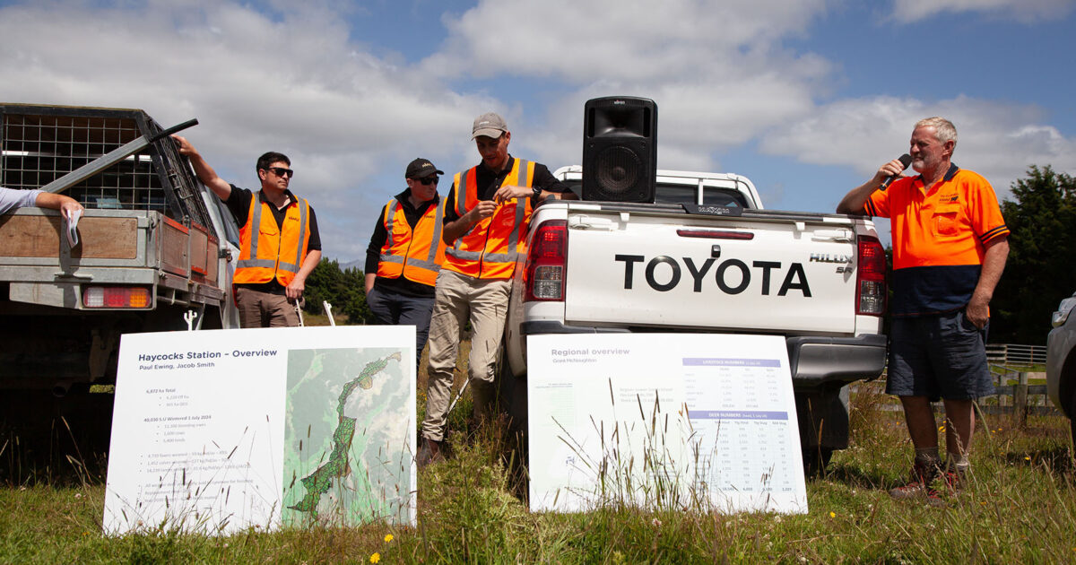 Connect with us in Te Tai Tokerau • Pāmu Landcorp Farming Limited